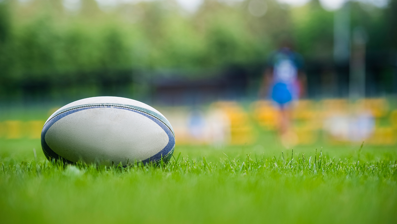 Stirling County Rugby Football Club - Midland Bluebird