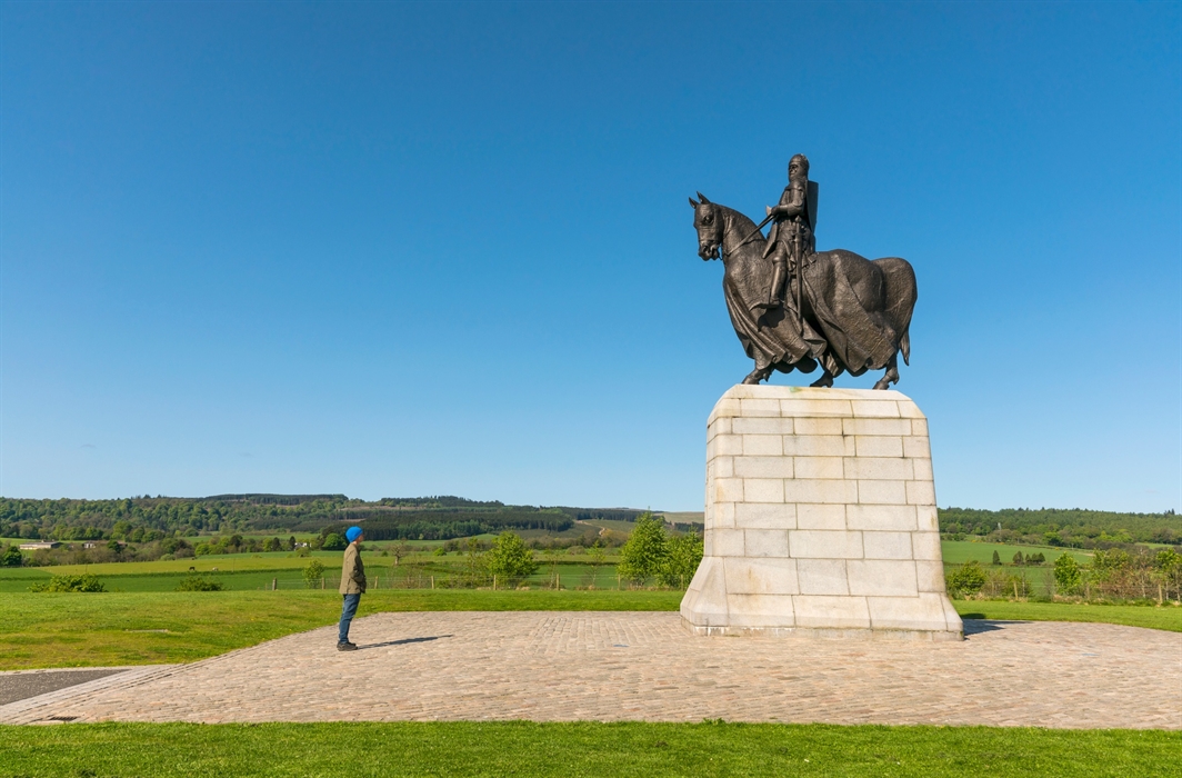 Bannockburn - Midland Bluebird
