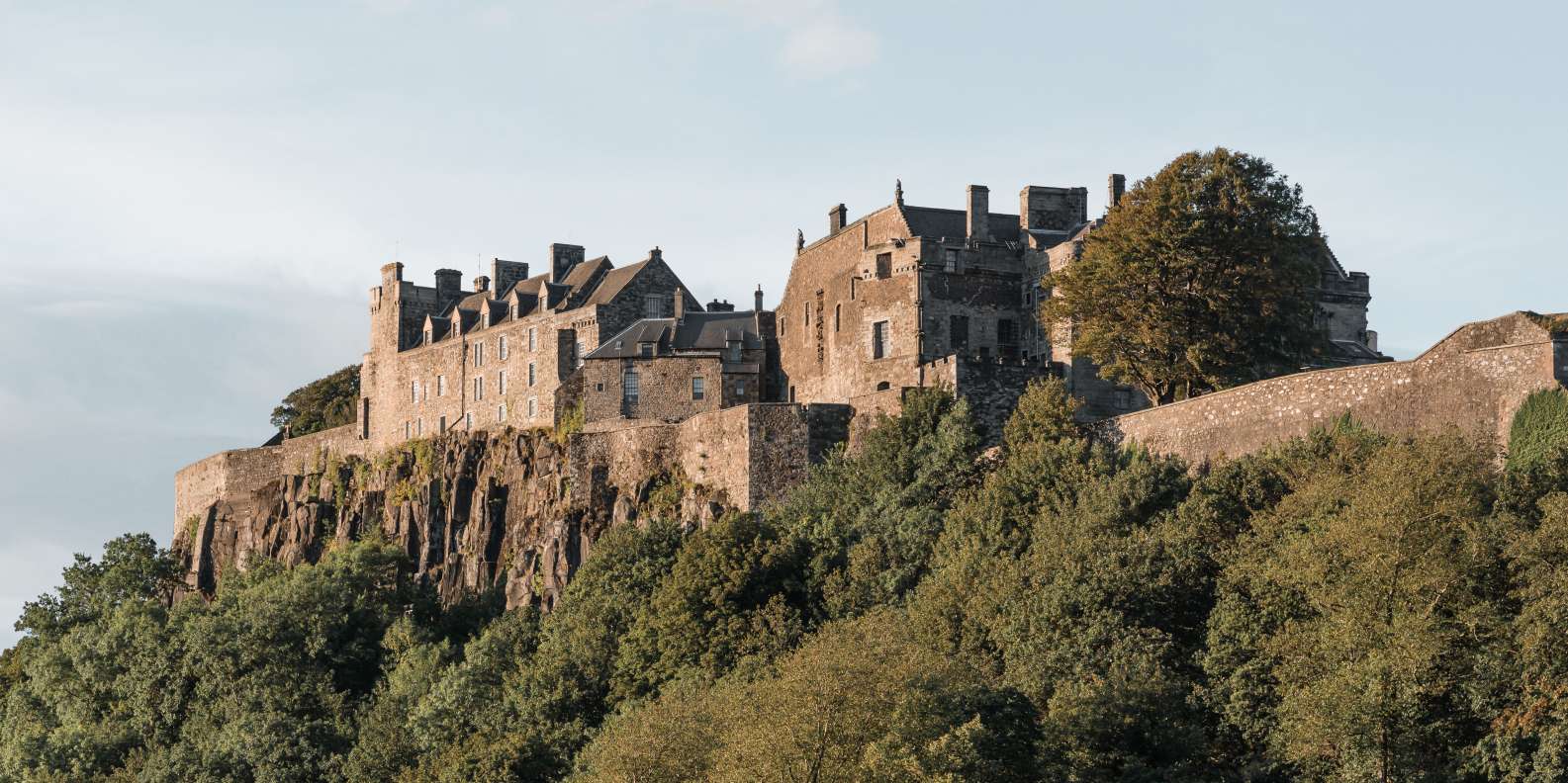 Stirling Castle - Midland Bluebird